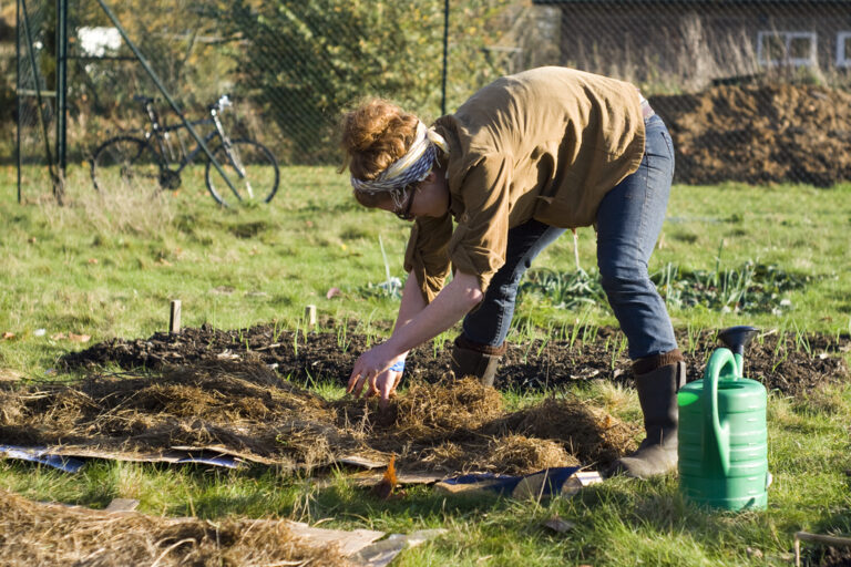 What Is No-Dig Gardening? A Beginner-Friendly Guide